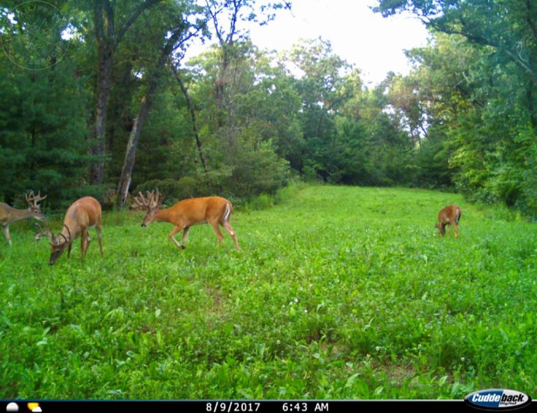 Horse Farms For Sale in Wisconsin, Horse Properties For Sale in WI