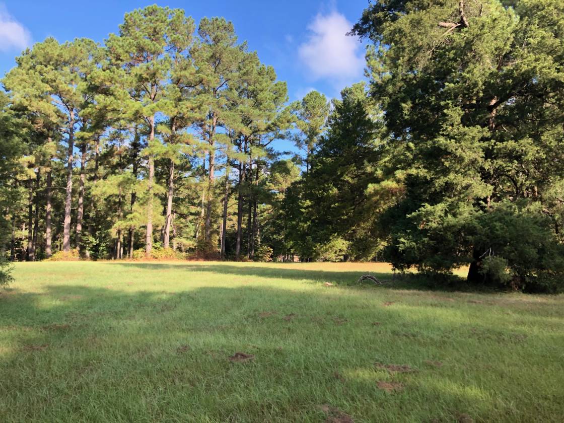 Beautiful Land - Build Your Dream Farm! | Vass, Moore County, North ...