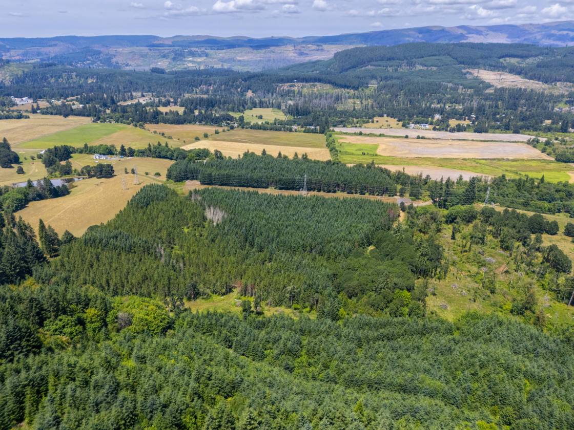Blank Slate Equestrian Estate | Fox Valley, Linn County, Oregon ...