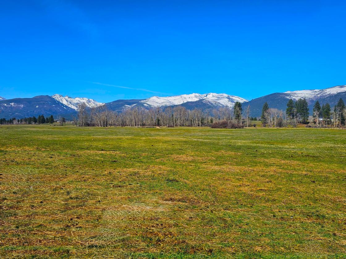 70 Acres, LIVE WATER, Horse Property in Victor, MT | Victor, Ravalli ...
