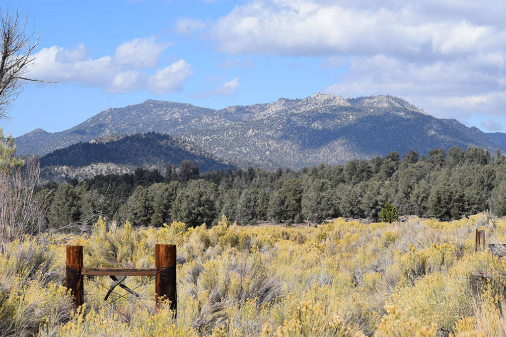 Beautiful Southern California Ranch Living, 40 acres with House and ...