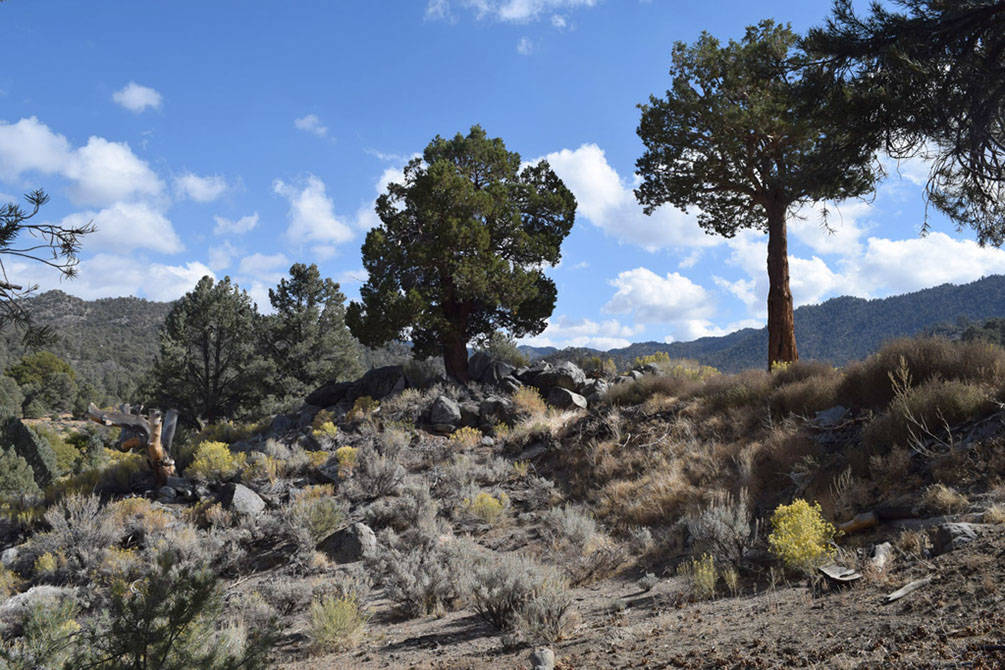 Beautiful Southern California Ranch Living, 40 acres with House and ...